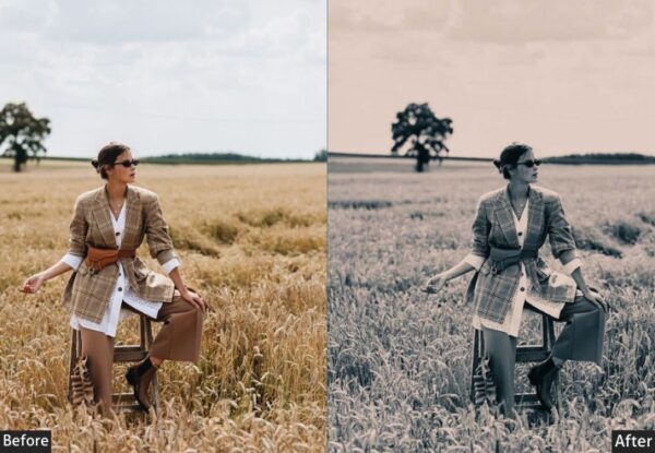 100 Vintage Lightroom Presets Free Download - Presetpedia