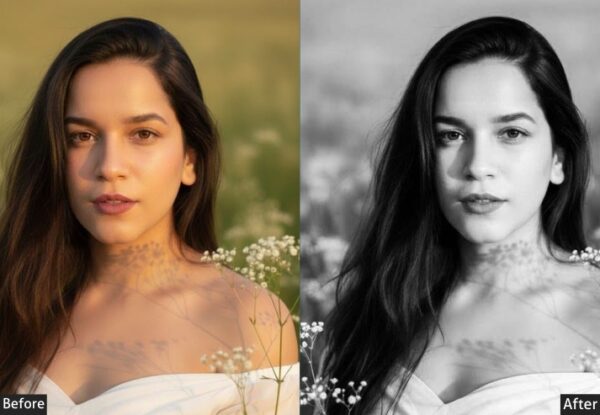 100 Portrait Lightroom Presets Free Download - Presetpedia