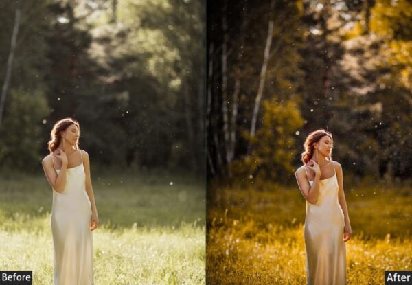 100 Portrait Lightroom Presets Free Download - Presetpedia
