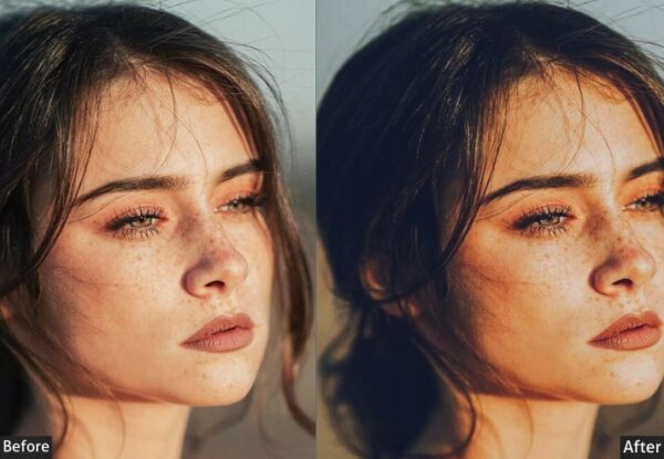 100 Portrait Lightroom Presets Free Download - Presetpedia
