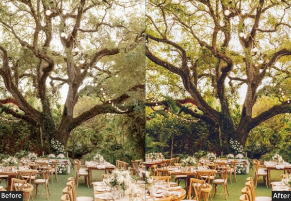 60 Event Photography Lightroom Presets Free Download - Presetpedia
