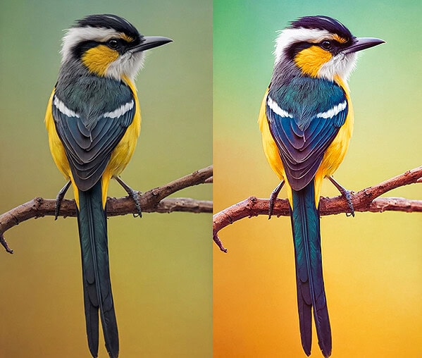 50 Free Bird Photography Lightroom Presets (XMP + DNG Download ...