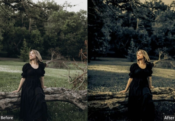 50 Warm Lightroom Presets - Free Download (Add Instant Cozy Vibes ...