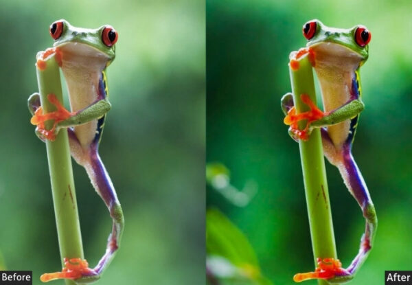 50 Outdoor Photography Lightroom Presets Free Download - Presetpedia