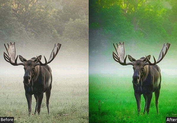 50 Outdoor Photography Lightroom Presets Free Download - Presetpedia